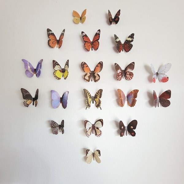 Butterfly Decor - Etsy