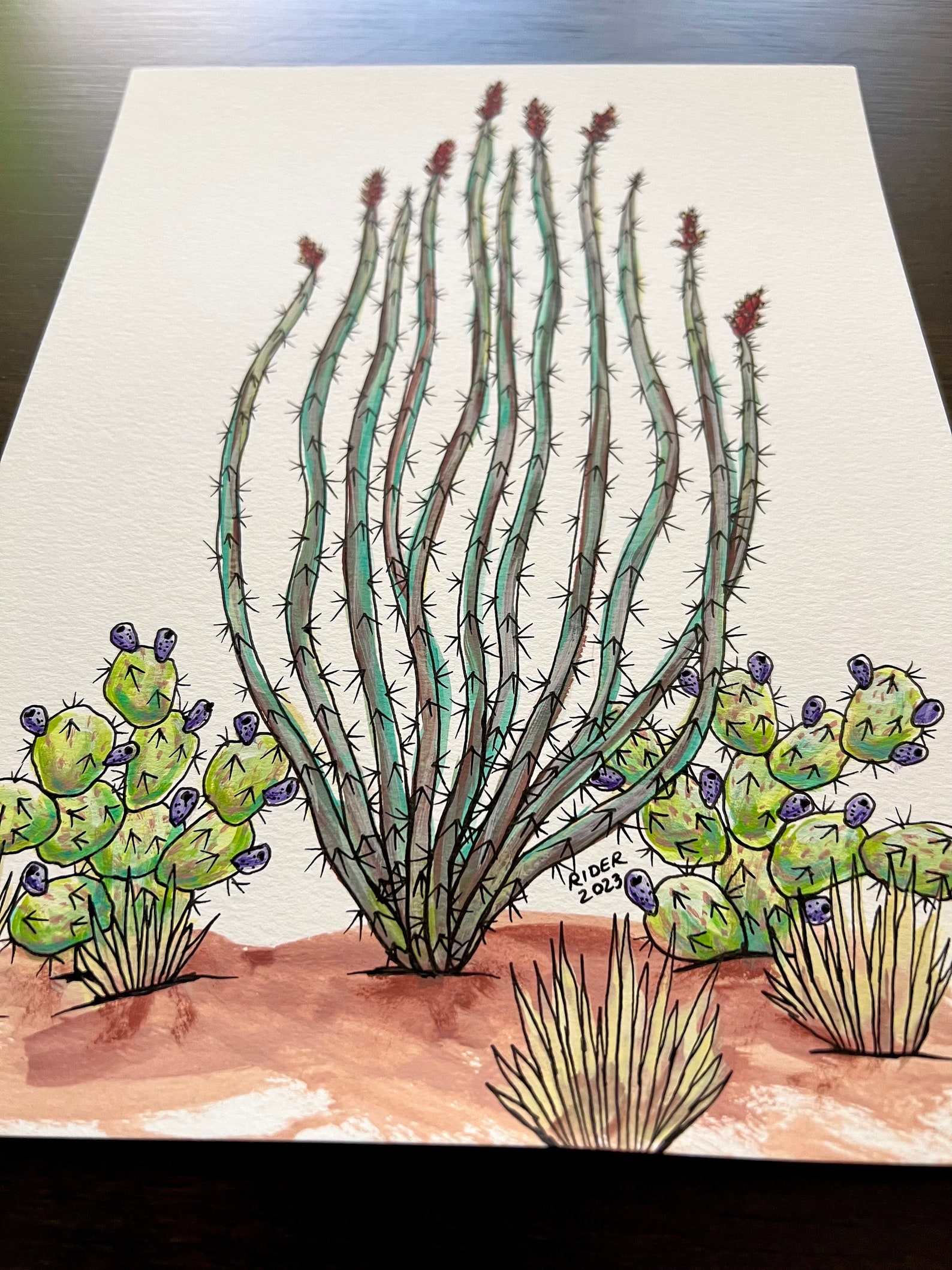 Desert Cactus Study: Ocotillo - Etsy