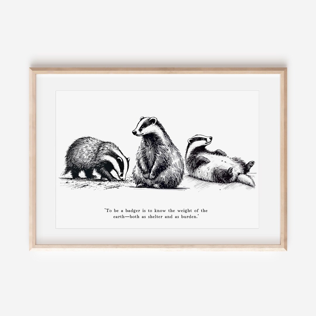 Badger Print Badger Wall Decor Badger Cull Wall Print - Etsy
