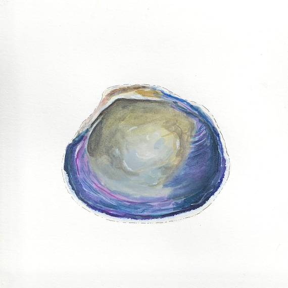 Wampum Quahog Shell Watercolor Painting - Etsy
