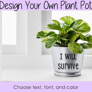 Custom Galvanized Planter - Choose Your Font, Color, and Text - Etsy