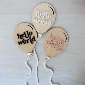 Balloon Baby Milestone Sign | Baby Gift | Monthly Baby Picture Sign ...