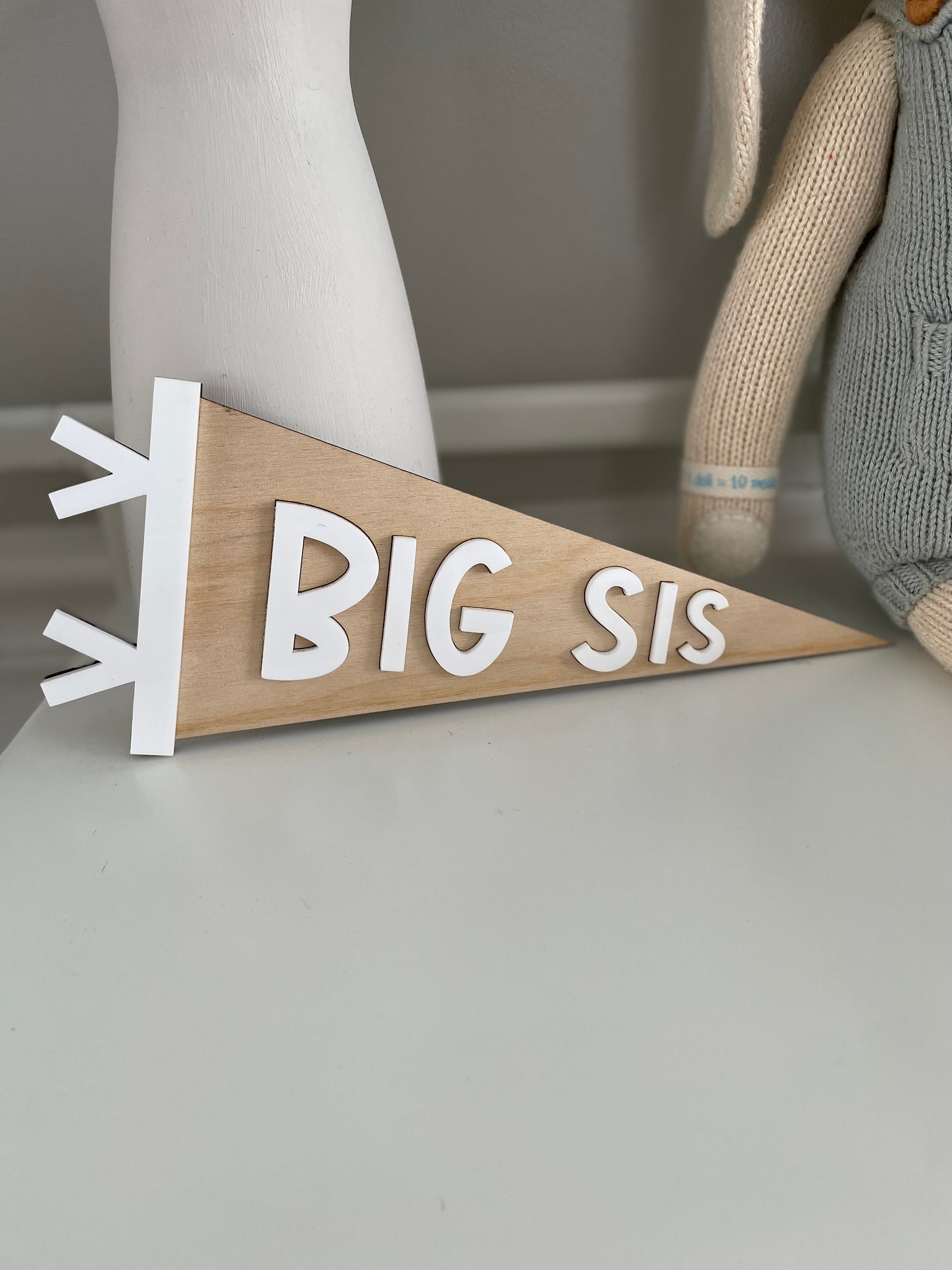 Big Sister Announcement Pregnancy Reveal Baby Shower Nursery Decor Big ...