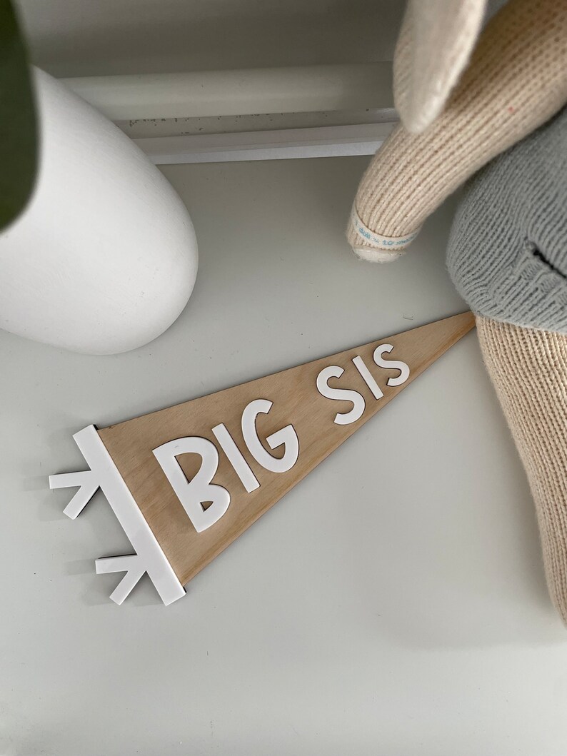 Big Sister Announcement | Pregnancy Reveal | Baby Shower | Nursery ...