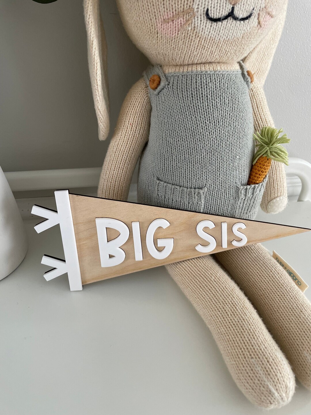 Big Sister Announcement | Pregnancy Reveal | Baby Shower | Nursery ...