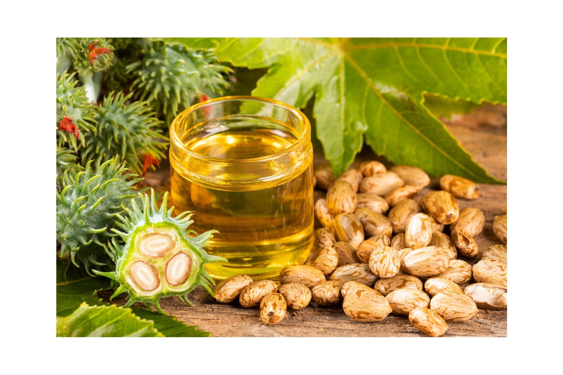 Meniscus Gotuk Massage Cream. Gotu Kola, Castor Oil, Cell Salts, Oligo ...