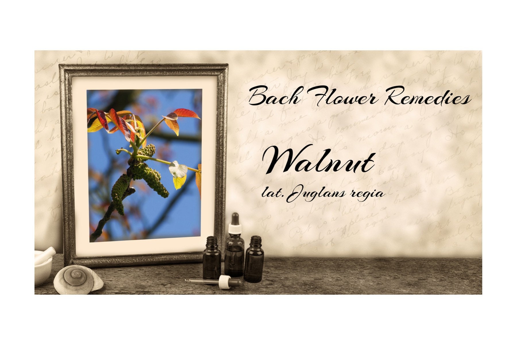 Meniscus Gotuk Massage Cream. Gotu Kola, Castor Oil, Cell Salts, Oligo ...