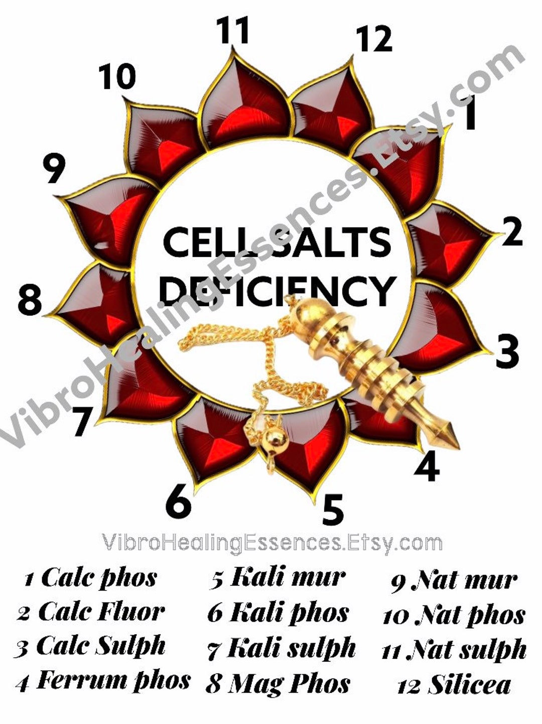 Schuessler Cell Salts Dowsing Chart - Etsy