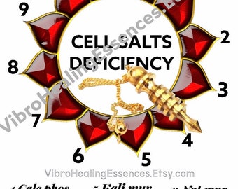 Cell Salts Chart - Etsy