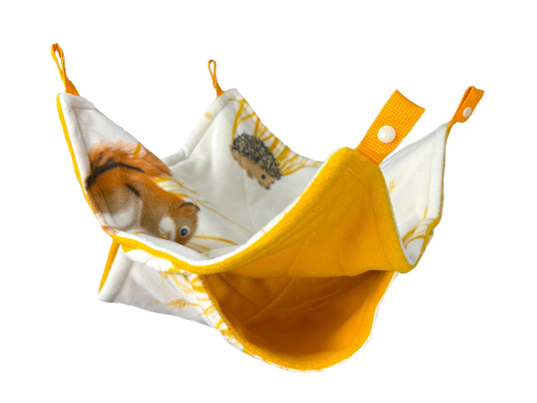 Double Decker Small Animal Hammock, Squirrel & Hedgehog, Gleaming Gold ...