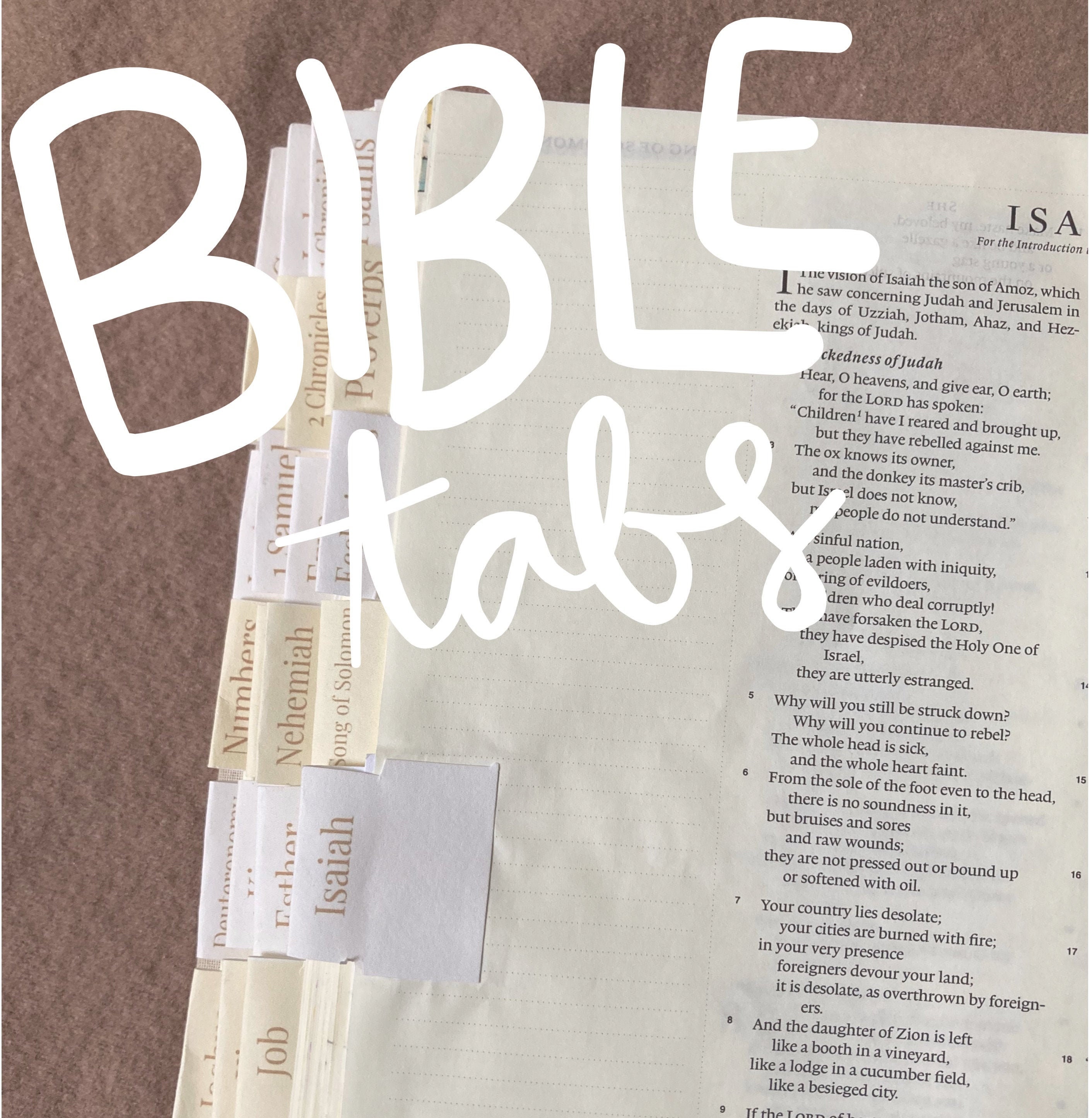 Bible Line Dividers