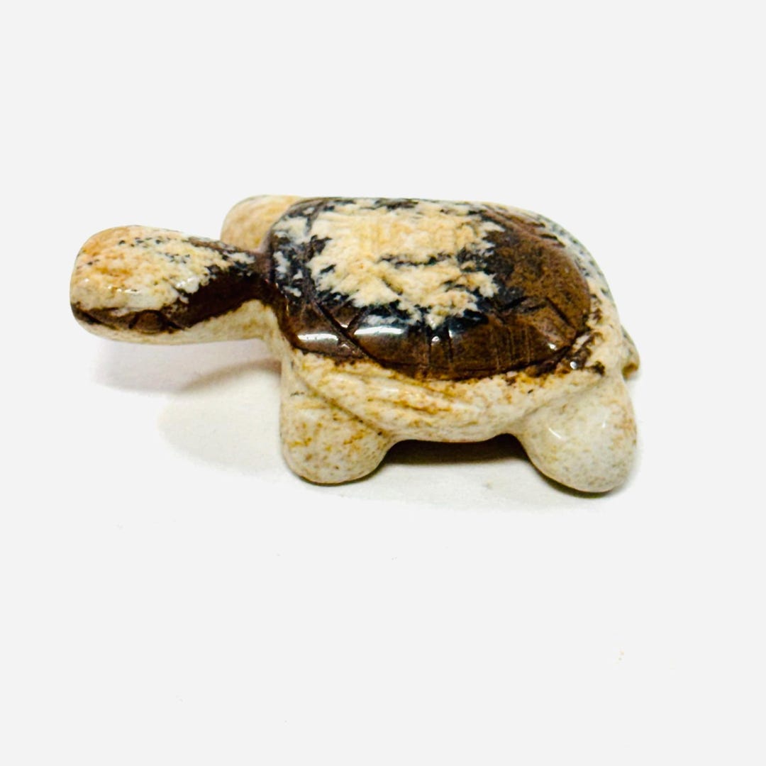 Beautiful Uniquely Colored Small Carved Stone Turtle - Etsy