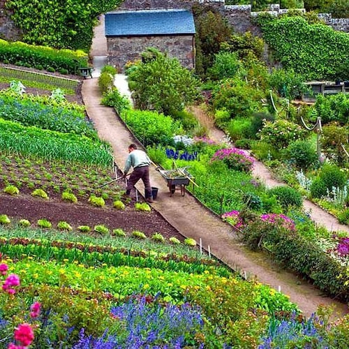 Jumbo Garden Survival Garden Emergency Food Seeds 75 Kinds - Etsy