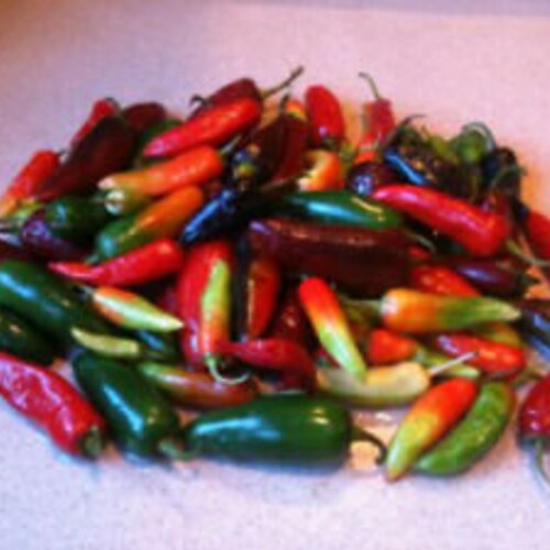 Custom Hot Pepper Mix made From 70 Kinds - Etsy