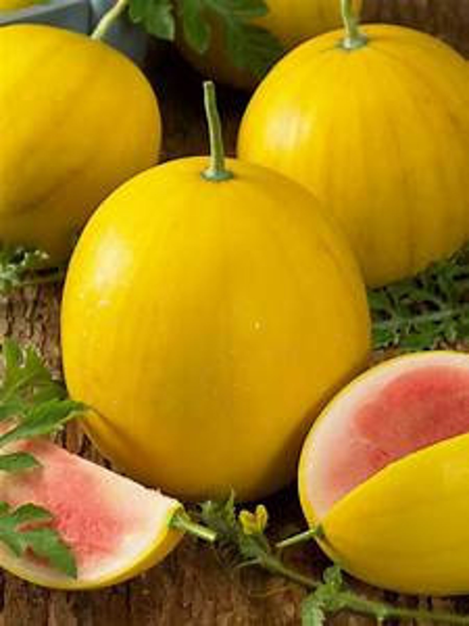 Royal Golden Watermelon Seeds - the Melons Turn Dark Yellow When Ripe ...