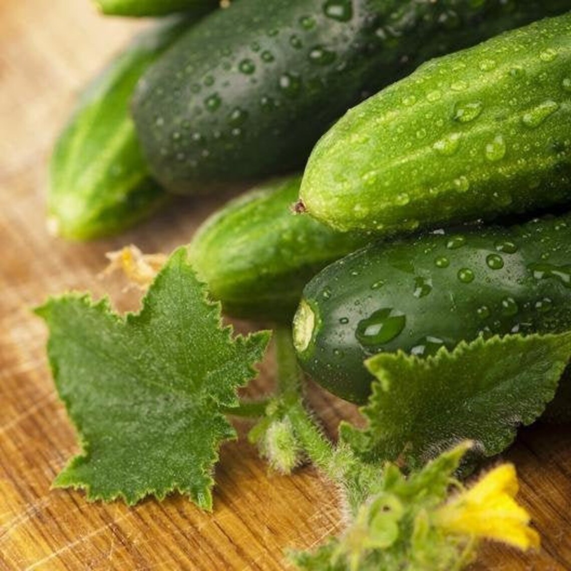 Long Green Improved Heirloom Cucumber Seeds - Etsy