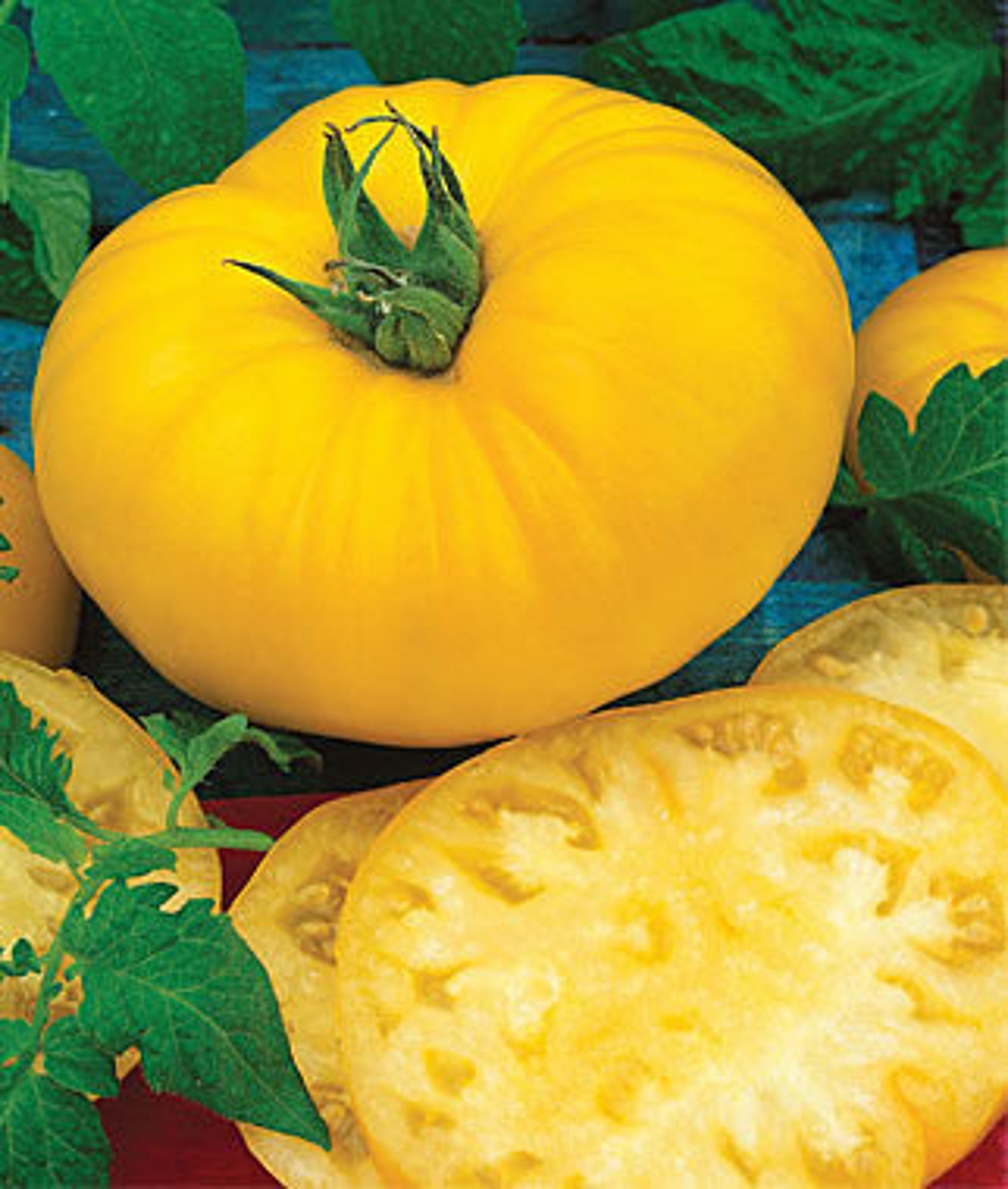 Sunny Boy Tomato Seeds - Etsy