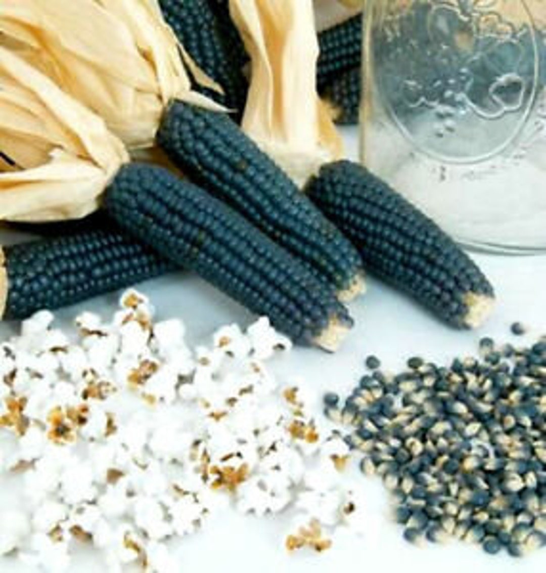 Mini Blue Popcorn Seeds Makes Great Tasting Popcorn - Etsy