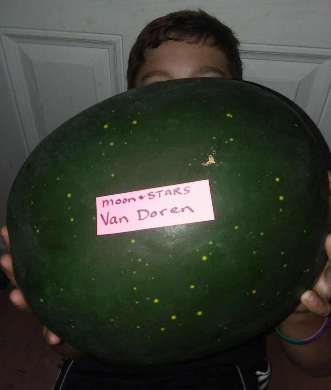 Watermelon Moon & Stars Van Doren - Etsy