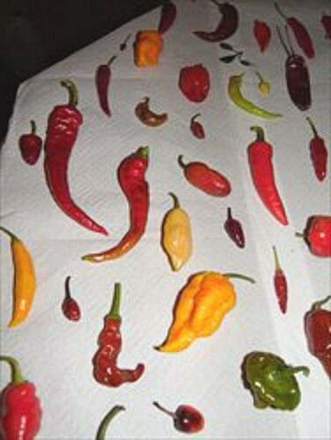 Custom Hot Pepper Mix- (made From 70 Kinds) - Etsy