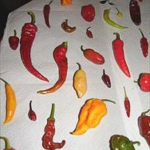 Custom Hot Pepper Mix- (made From 70 Kinds) - Etsy