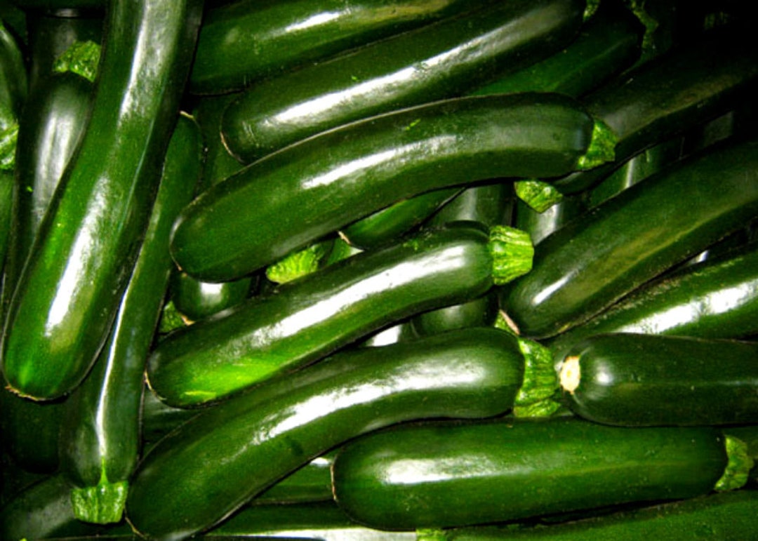 Dark Green Zucchini Squash Seeds - Etsy