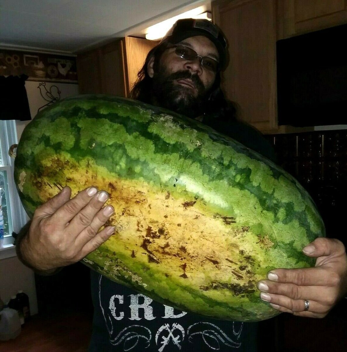 75 Pound Carolina Cross Watermelon Seeds Massive Prize | Etsy