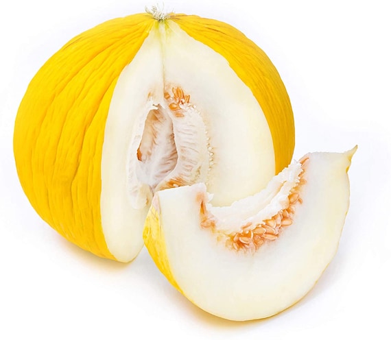 Casaba Melon Seeds golden Beauty - Etsy