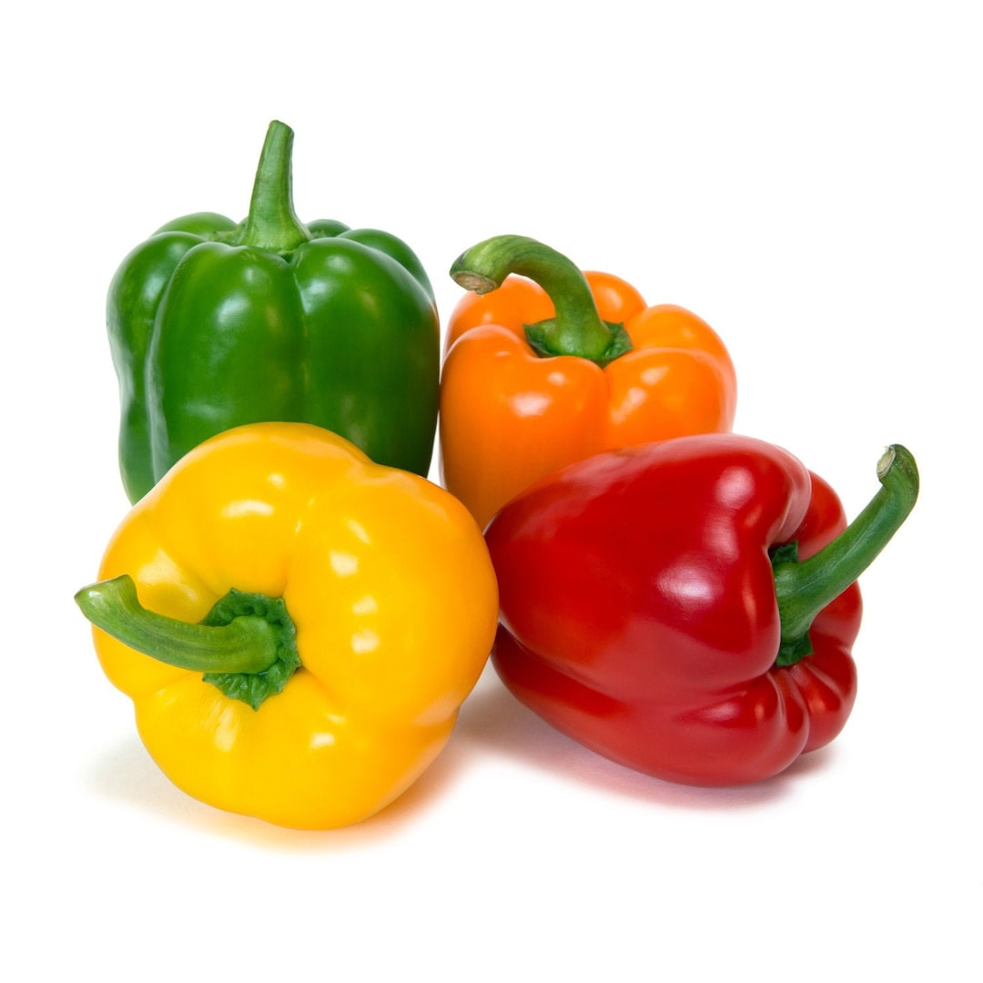 Four Color Mix Bell Peppers - Etsy