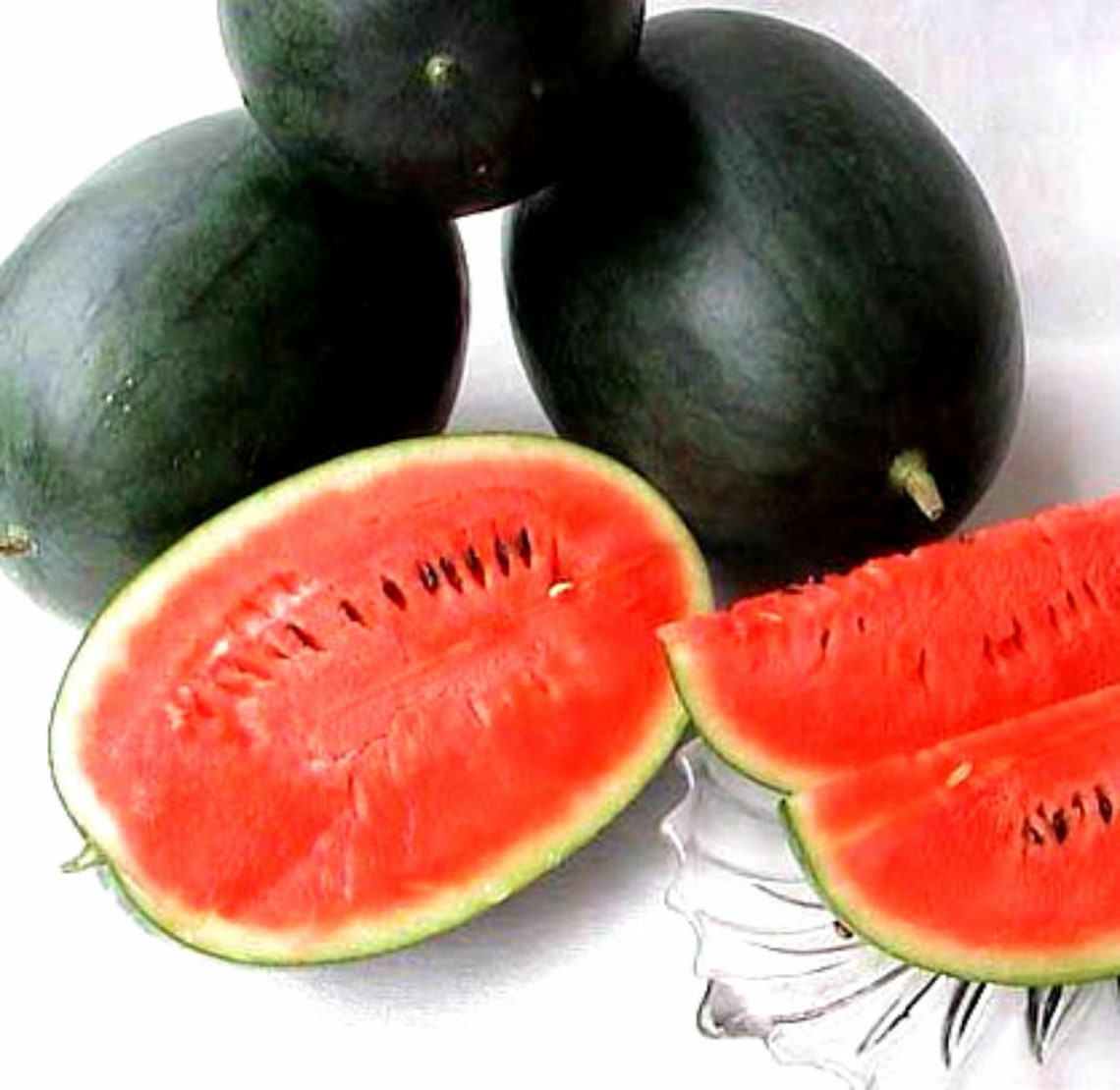 Black Diamond Watermelon Seeds - Etsy