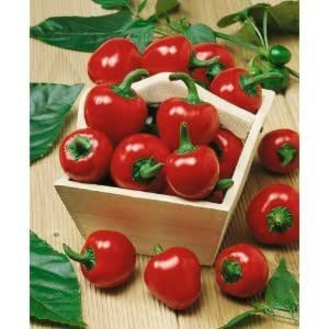 Hot Cherry Bomb Pepper Seeds - Etsy