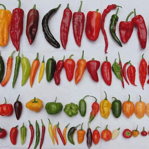 Custom Hot Pepper Mix- (made From 70 Kinds) - Etsy