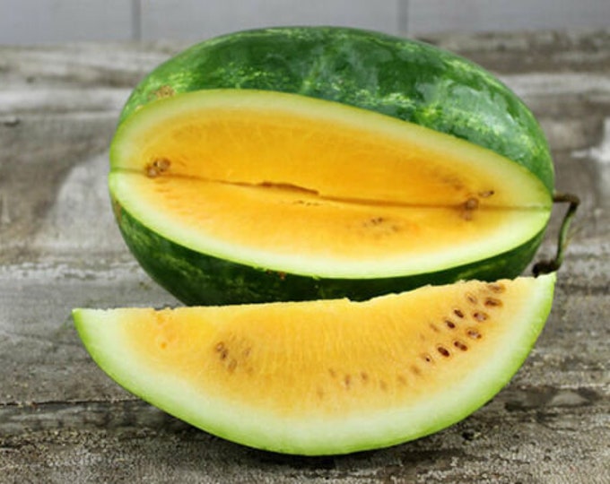 Tendergold Watermelon Seeds (very Sweet) - Etsy