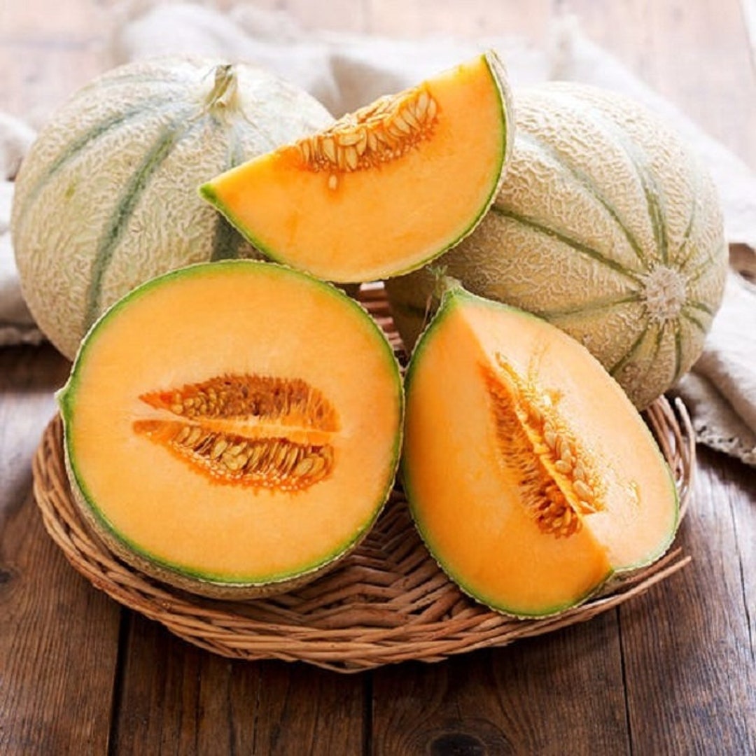 Hearts of Gold Melon Seeds - Etsy