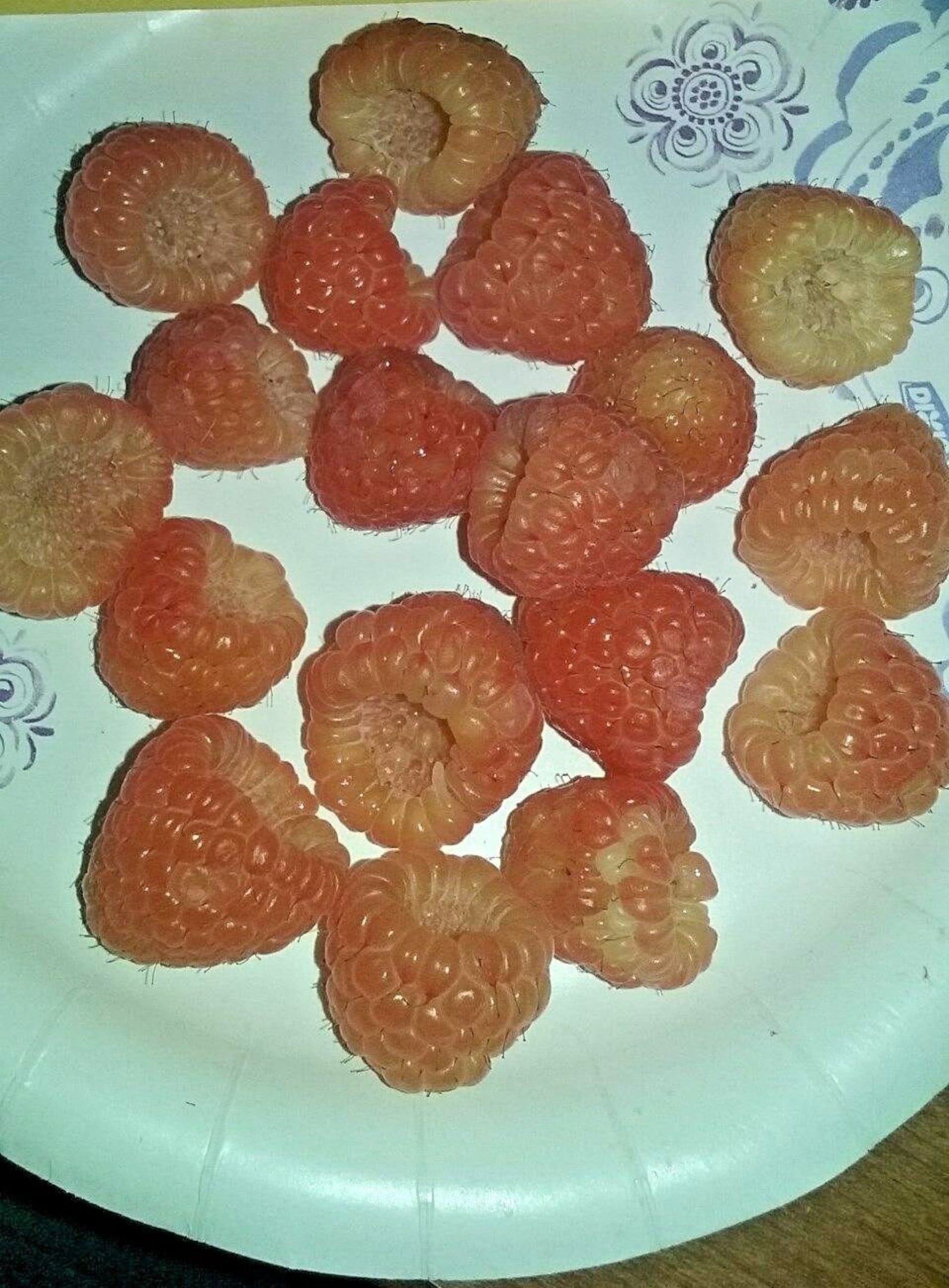 Sunshine Raspberry Bush Seeds! SWEET! Huge Variegated Fruit - Etsy