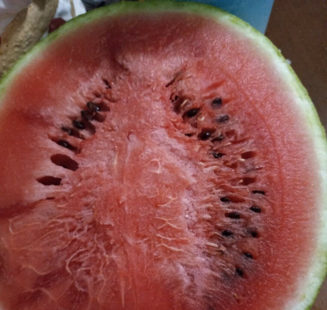 Oh so Sweet Watermelon - Etsy