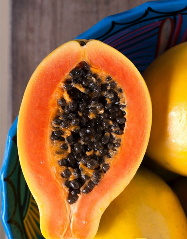 Brazilian Golden Papaya 10 Seeds Small Fruit Perfect for - Etsy