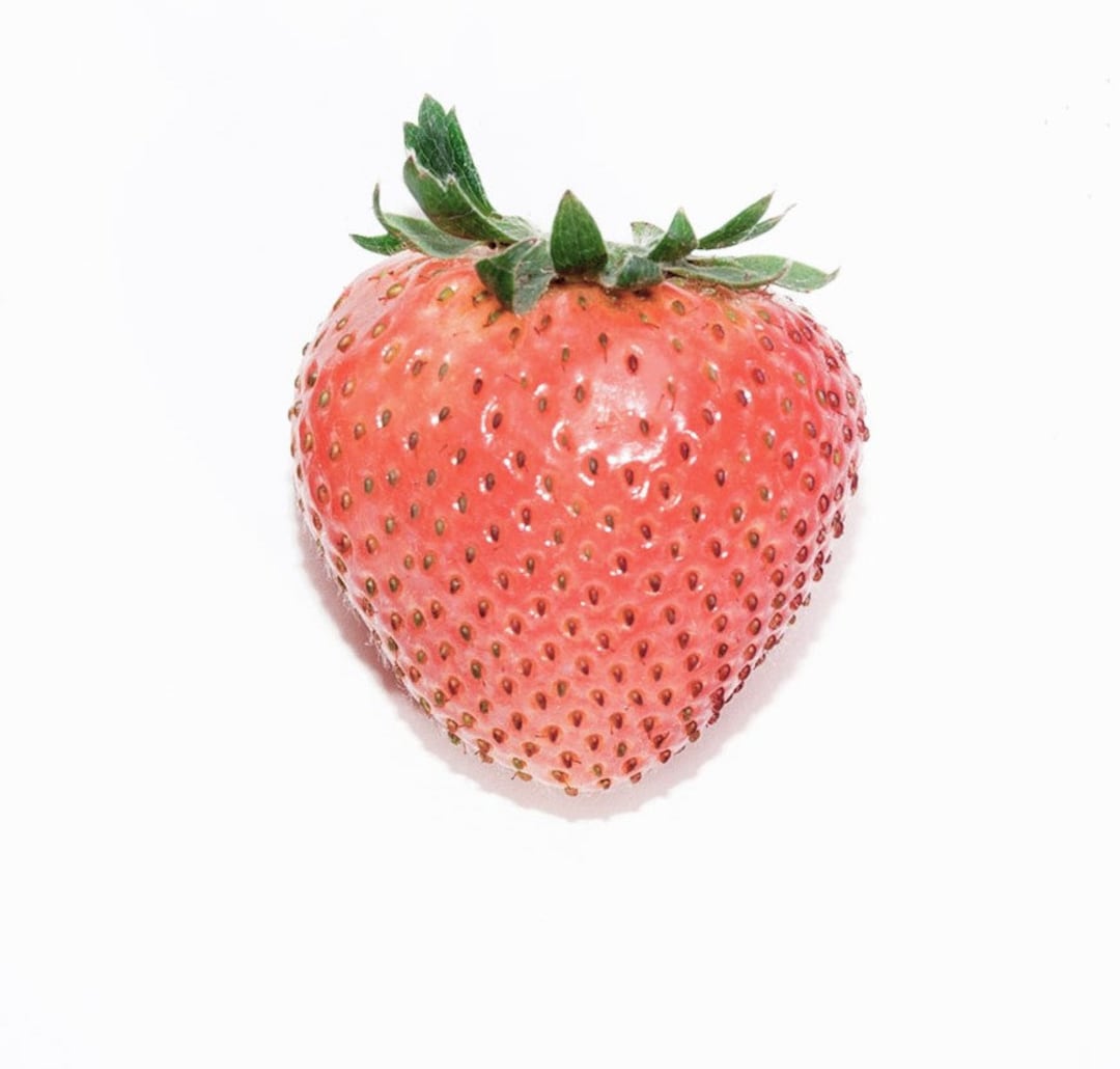 Rosy Pink Strawberry Seeds - Etsy