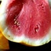 Royal Golden Watermelon (melon Turns Bright Yellow When Ready to Pick ...