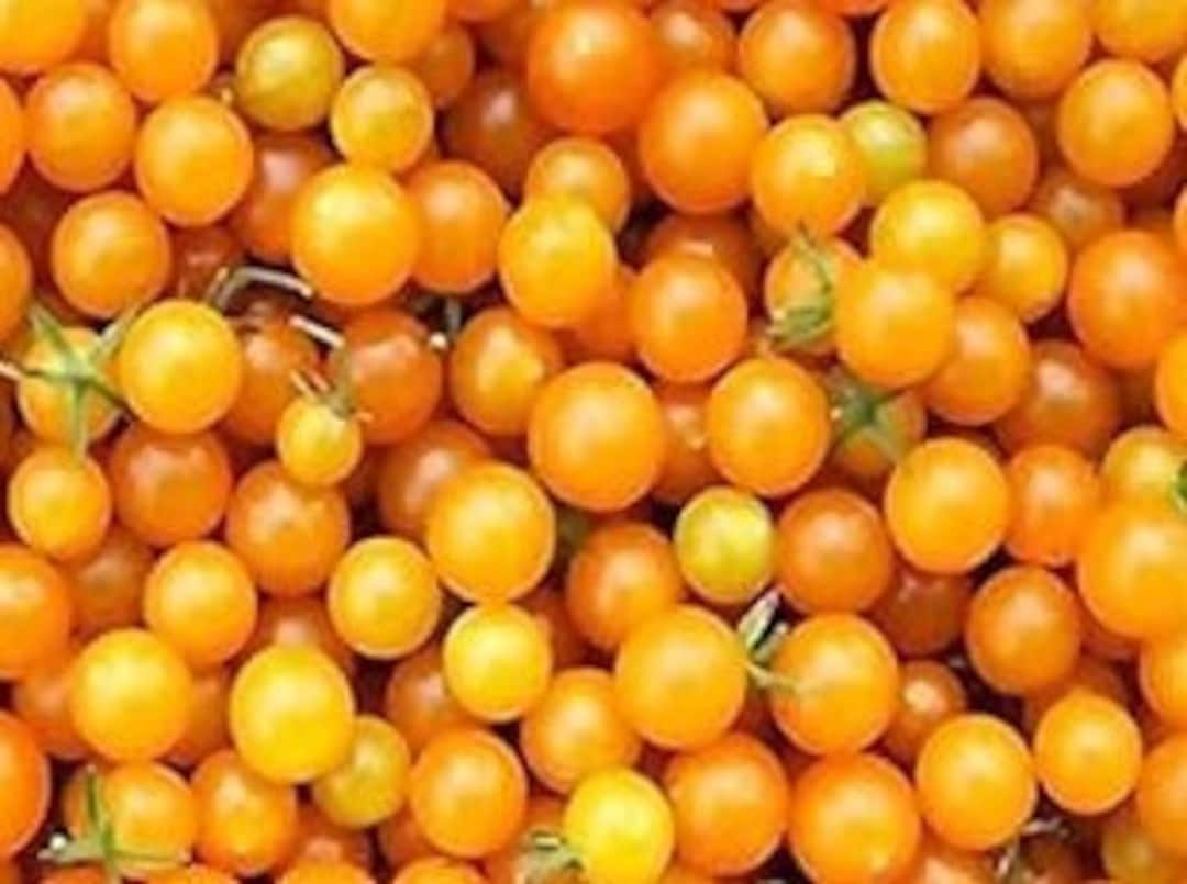 Yellow Spoon Currant Tomato Seeds - Etsy