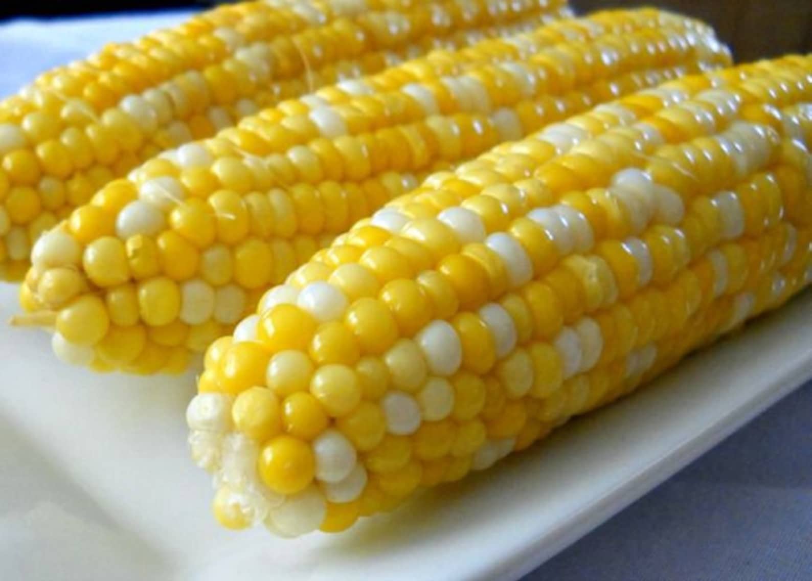 Sugarbaby Sweet Corn Seeds - Etsy
