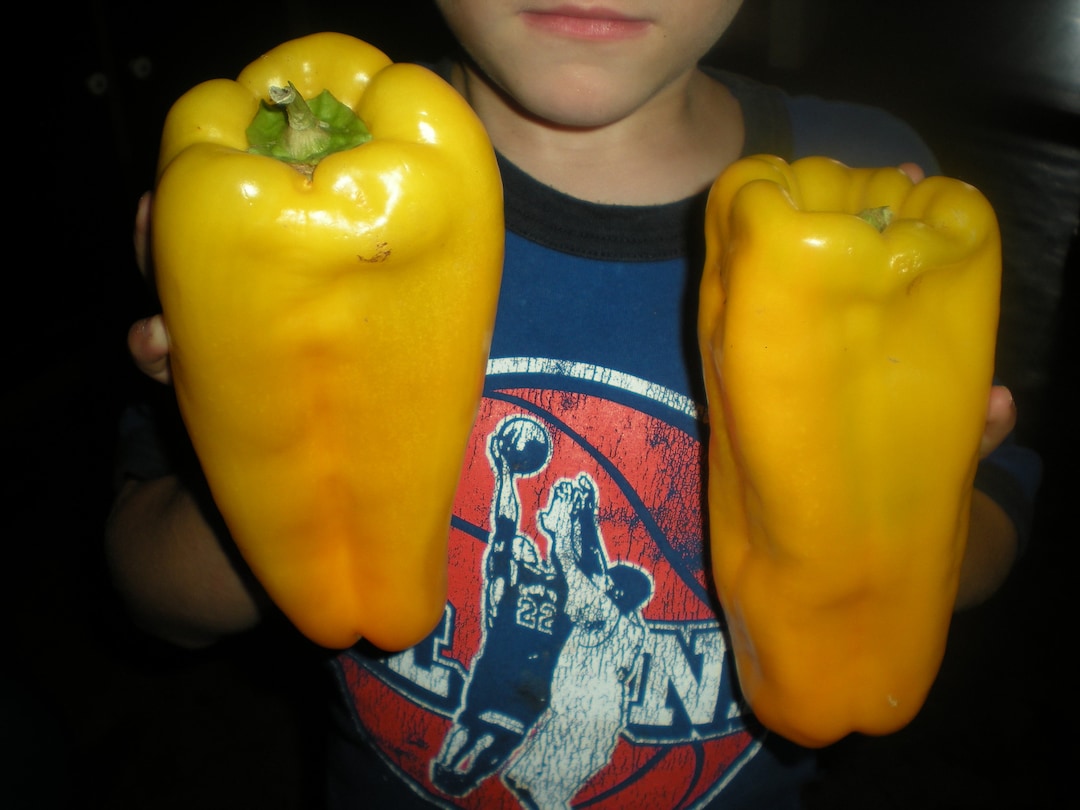 Yellow Monster Pepper Seeds - Etsy