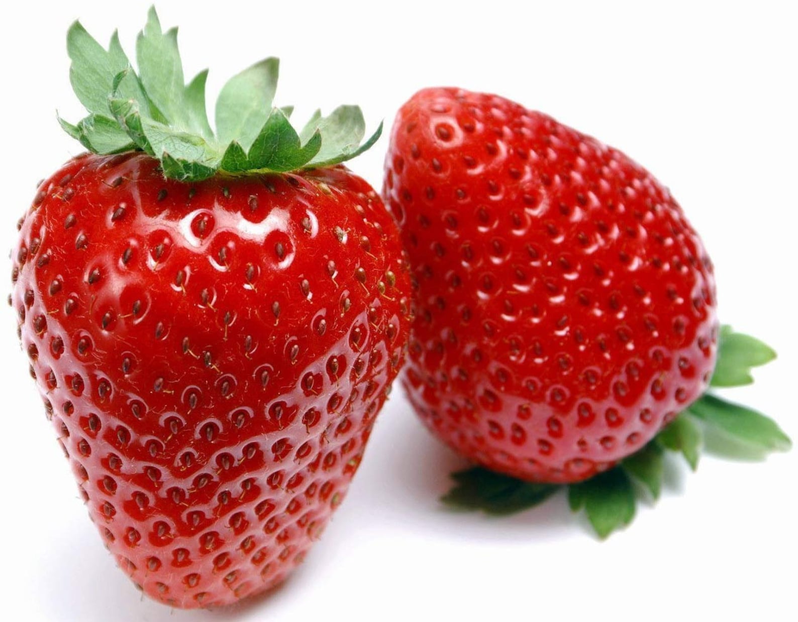 Eversweet Strawberry- 25 Seeds Super Sweet & Bears Fruit ALL SUMMER! - Etsy
