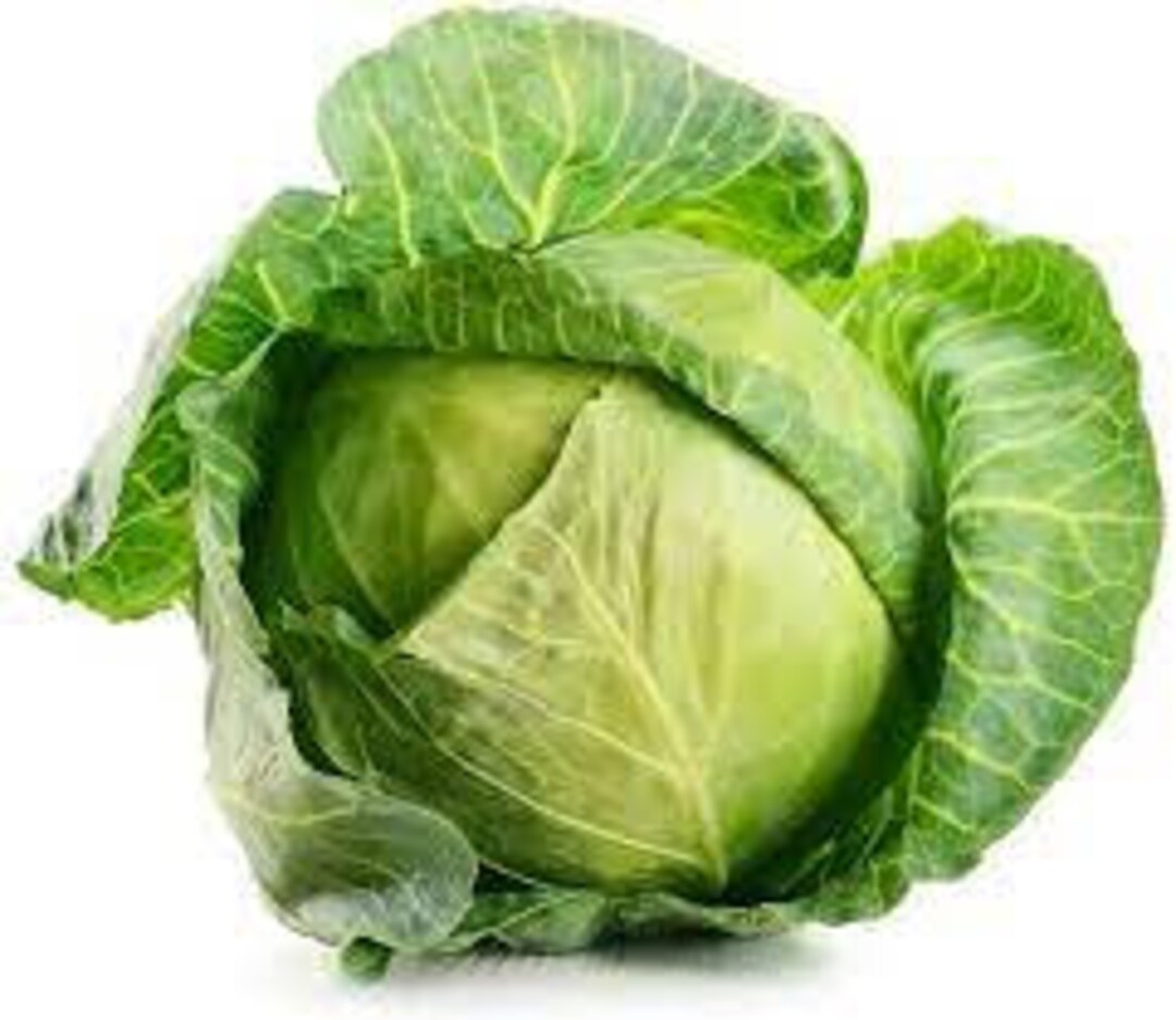 Brunswick Cabbage Seeds - Etsy