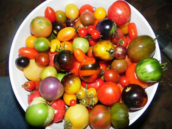 Pack of 100 Seeds From A Mix of 50 Different Kind of Cherry - Etsy