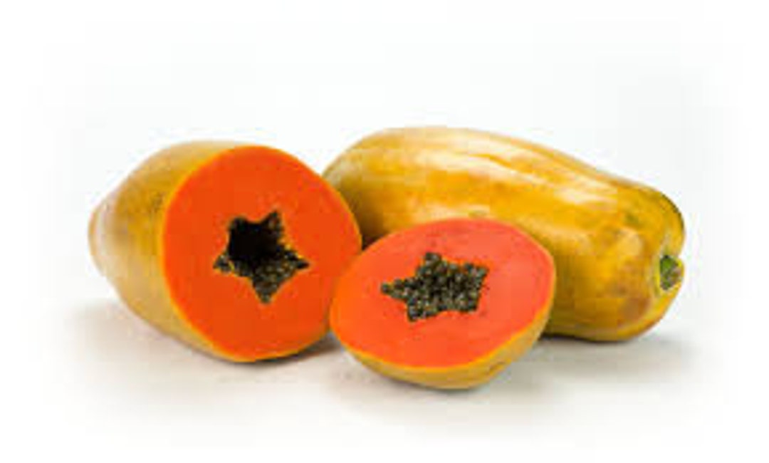 Royal Star Papaya Seeds - Etsy