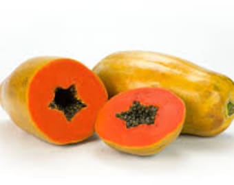 RARE Dwarf Thai PAPAYA Great for Growing Indoors in a Pot or - Etsy
