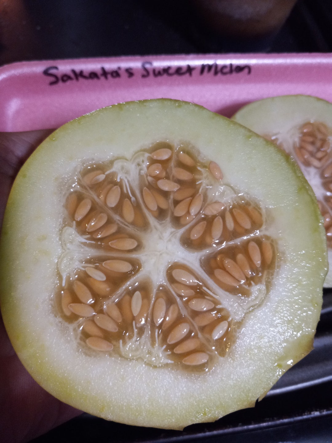 Sakata's Sweet Melon Seeds - Etsy