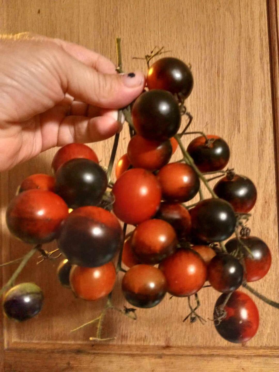 Midnight Snack Tomato Seeds (massive Clusters of Fruit) - Etsy