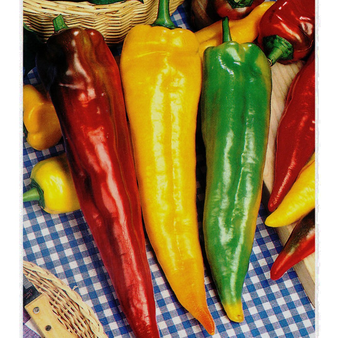 Volcano Pepper Seeds - Etsy